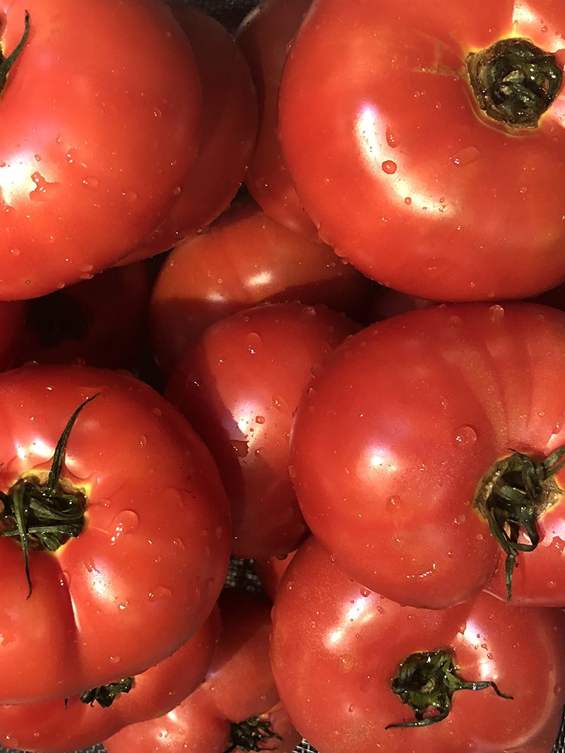 野菜 - コナト：KONdA to（旧エスケール） 丹波篠山のハンバーガーレストラン